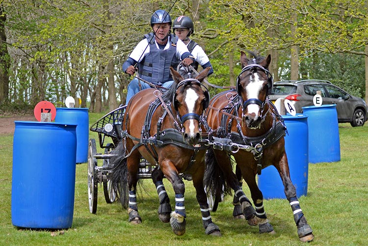 British Carriagedriving