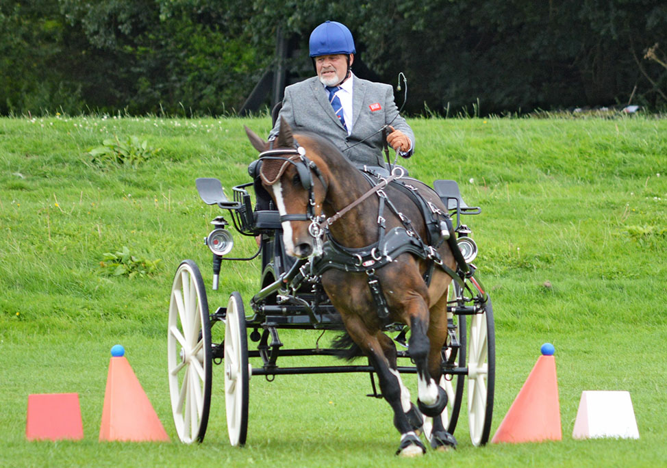 British Carriagedriving