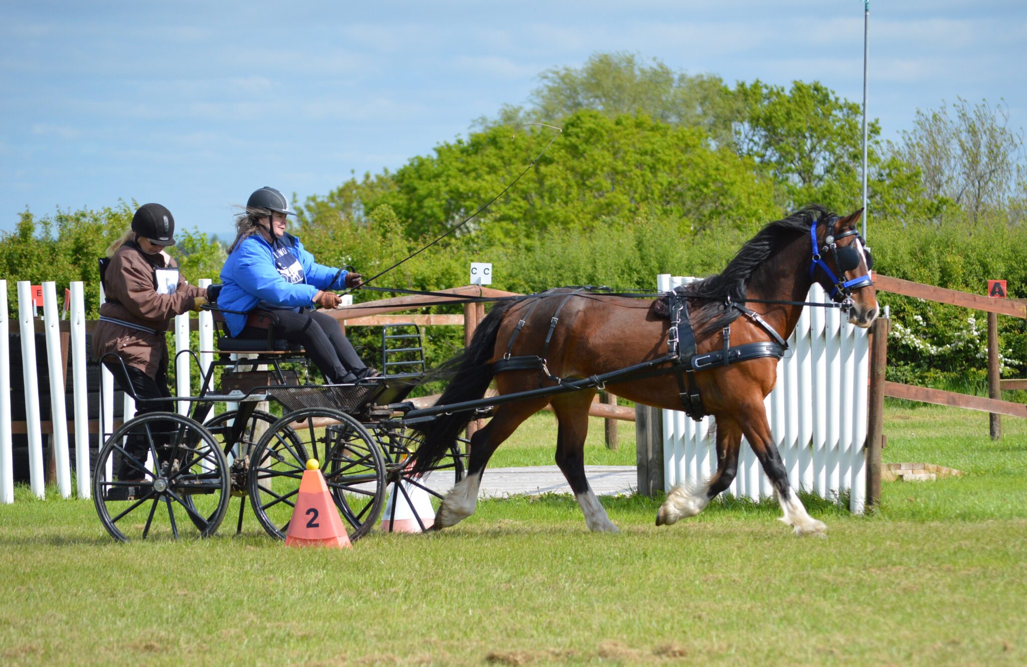 Mixed bag of competitors enjoys excellent going at Anslow | British ...