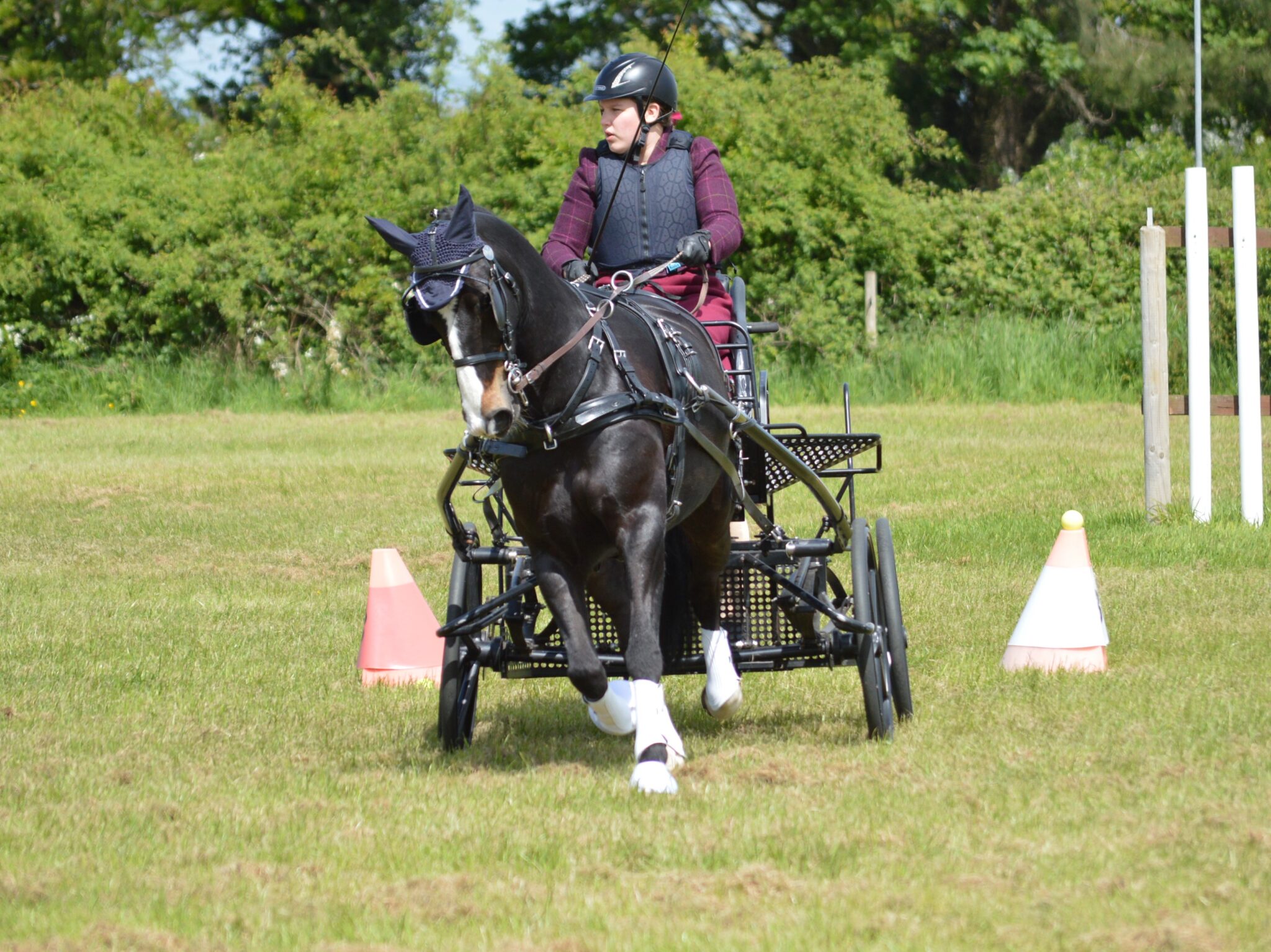 Mixed bag of competitors enjoys excellent going at Anslow | British ...